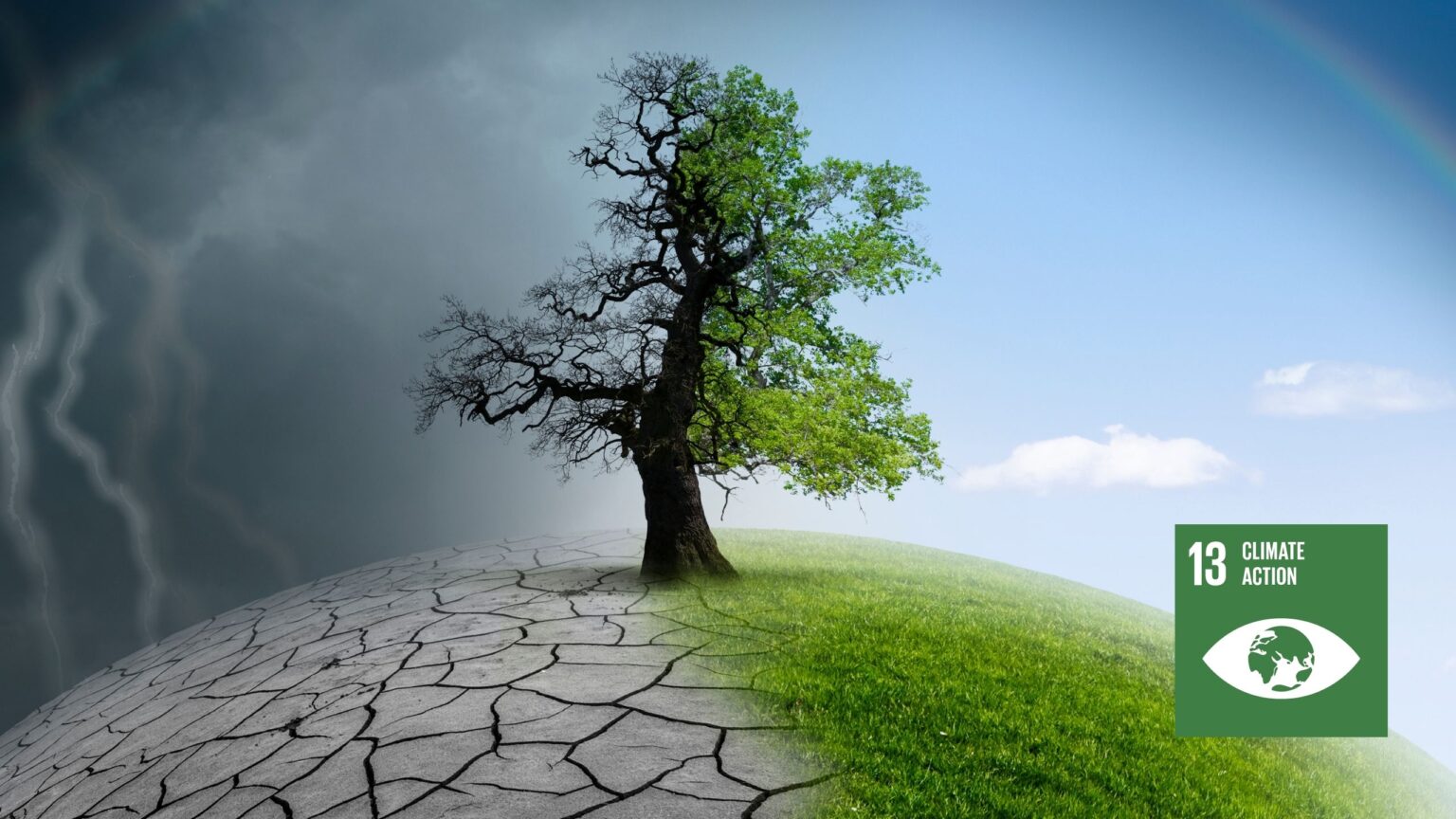 SDG13, Climate Action – An Update – What Can YOU Do?