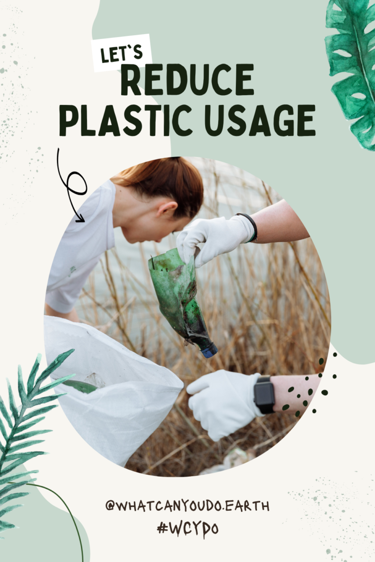 Best ways to reduce plastic pollution – What Can YOU Do?