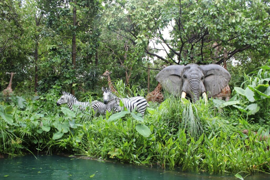 Conservation of forest and wildlife – What Can YOU Do?